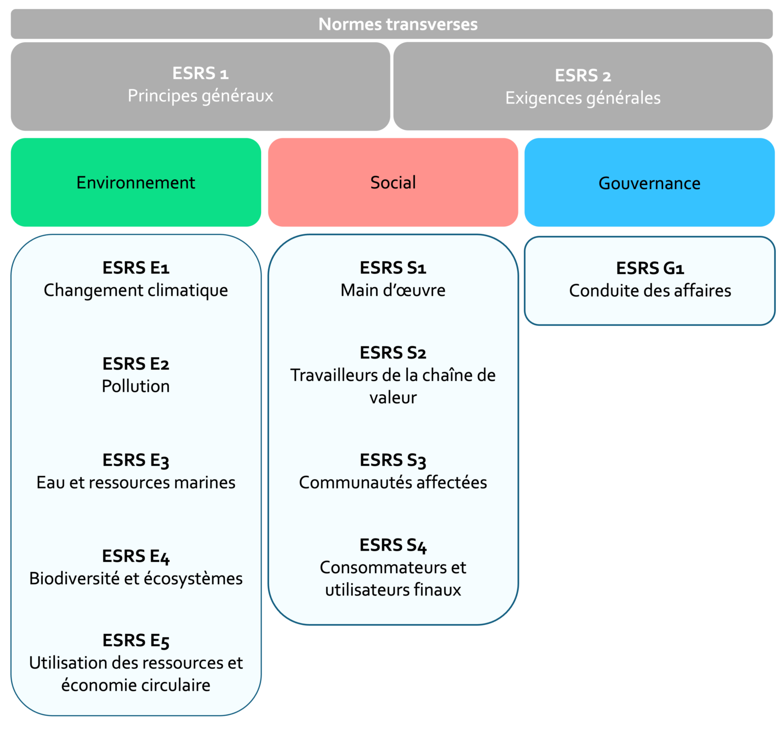 ESRS : tout comprendre aux standards de reporting CSRD
