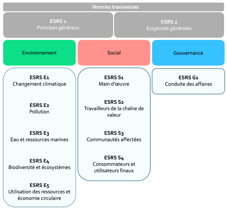 ESRS : tout comprendre aux standards de reporting CSRD
